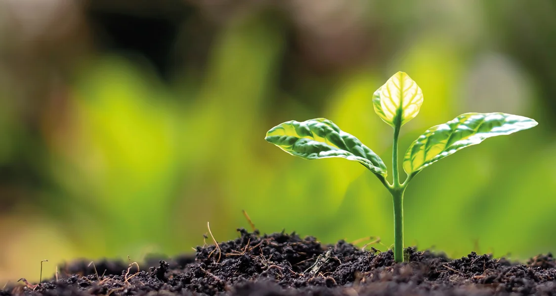 STADA is in top 3% on pharma sustainability, Morningstar Sustainalytics ...